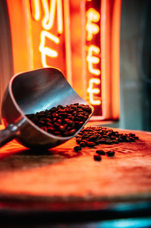 Talk N' Coffee - Fresh Roasted Gourmet Coffee